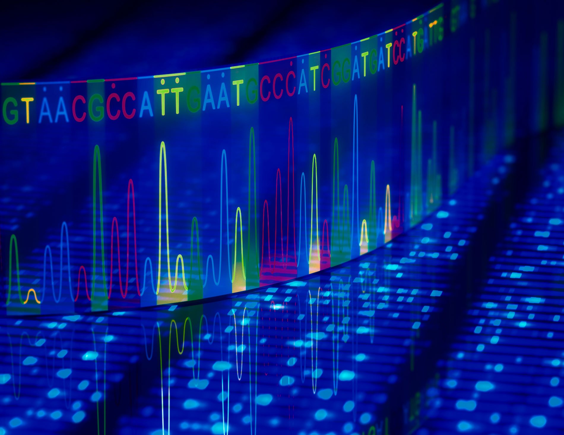 Diagnosis of DAO Deficiency | Geneceutica