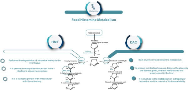 Histamine in food | Geneceutica